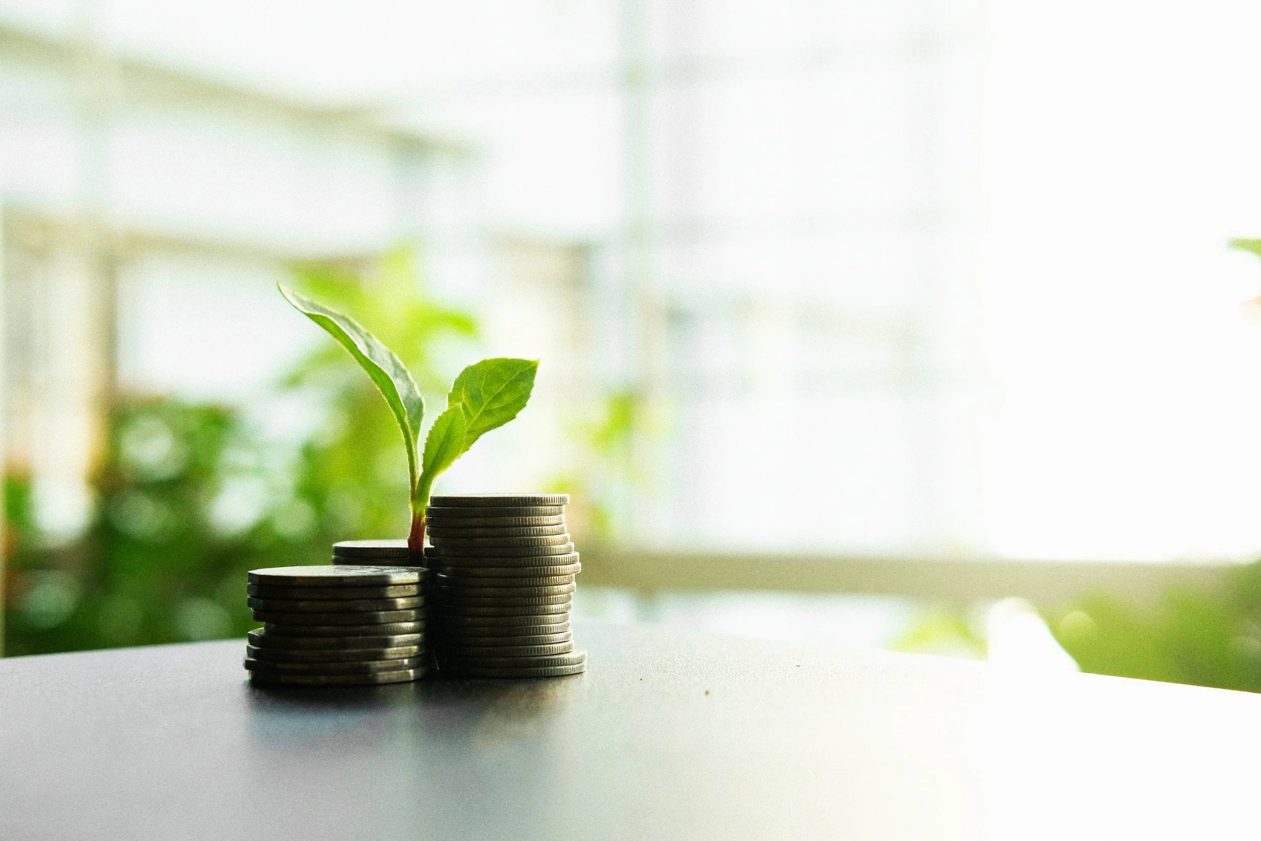 Services - Greatway Financial
