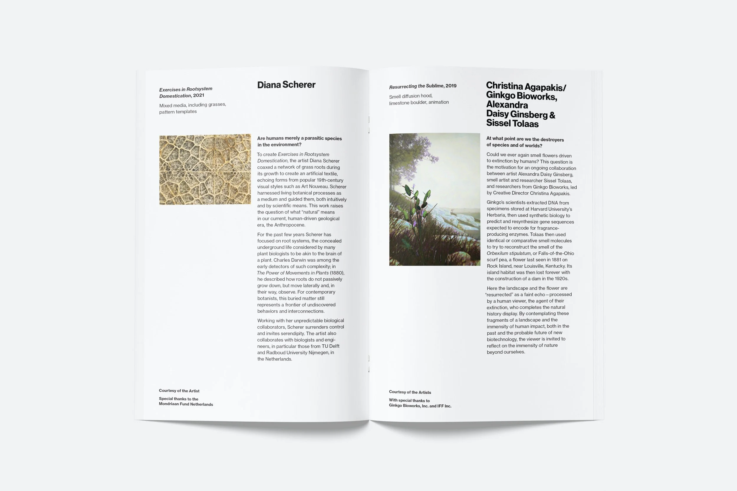 Interval, The Design Studio of Kristin Cullen | MIT Museum Exhibition ...