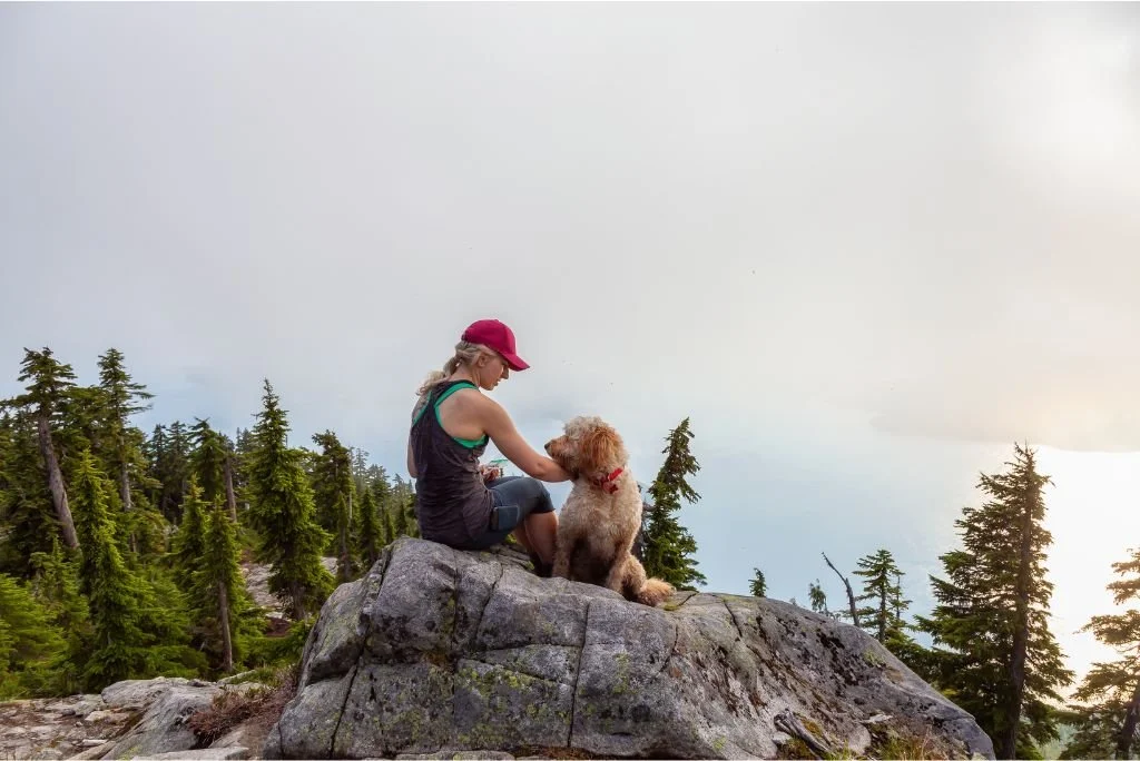 Virginia's Dog-Friendly Hiking Trails: Explore with Your Best Friend ...