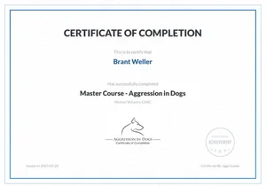Understanding Displacement Behavior in Dogs — The Trusted Companion