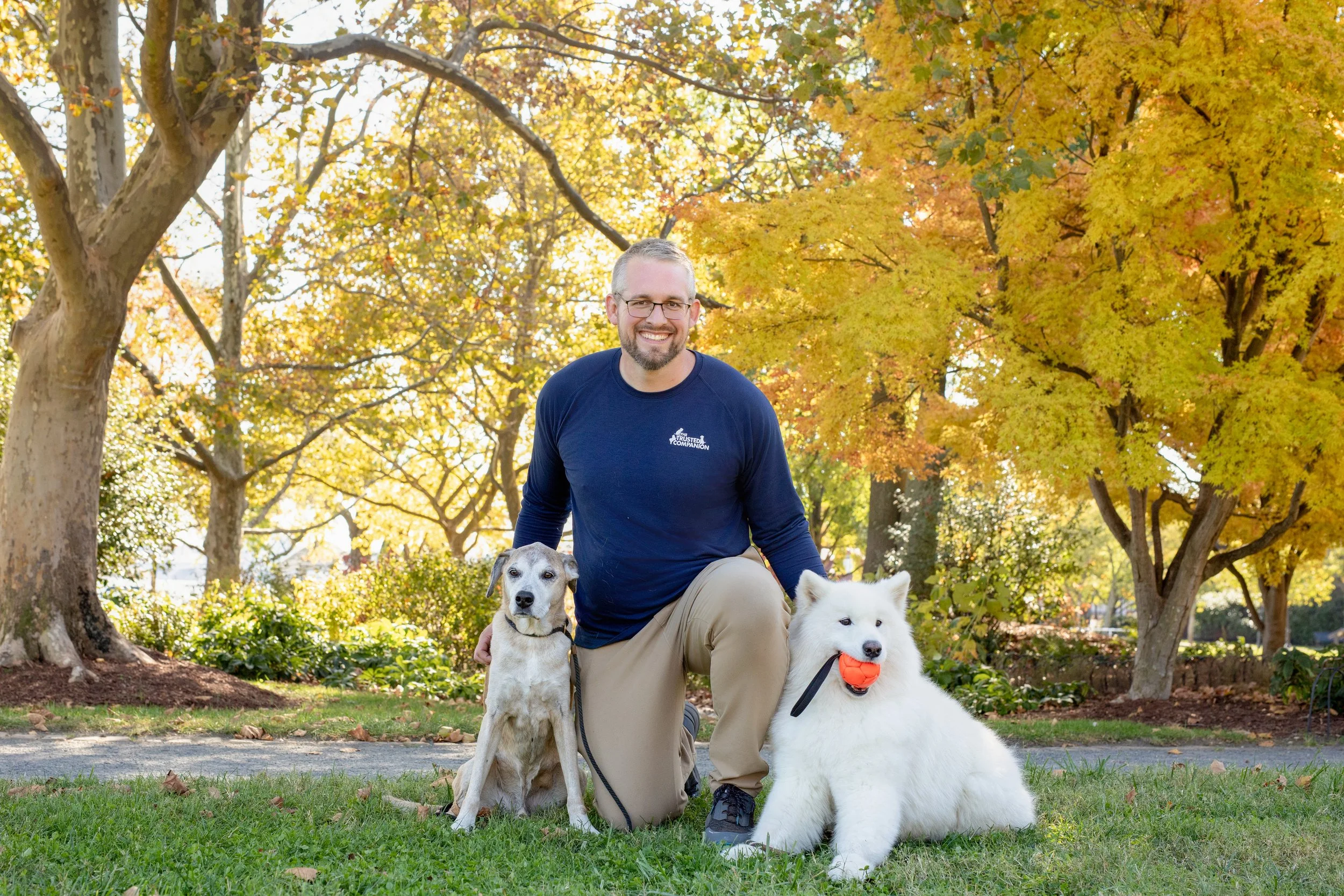 Alexandria Dog Training | Trusted Dog Trainer — The Trusted Companion