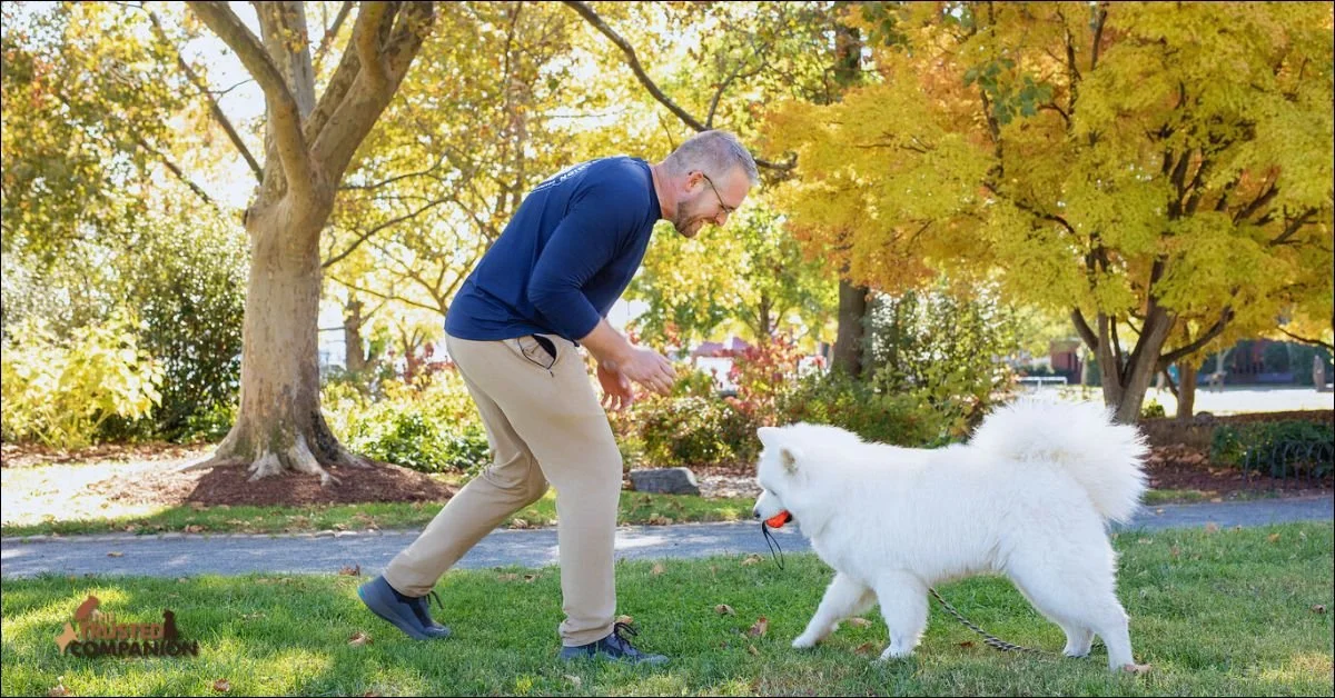 Why Dog Training Fails — The Trusted Companion