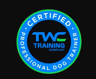 Understanding Displacement Behavior in Dogs: Signs, Examples, and ...