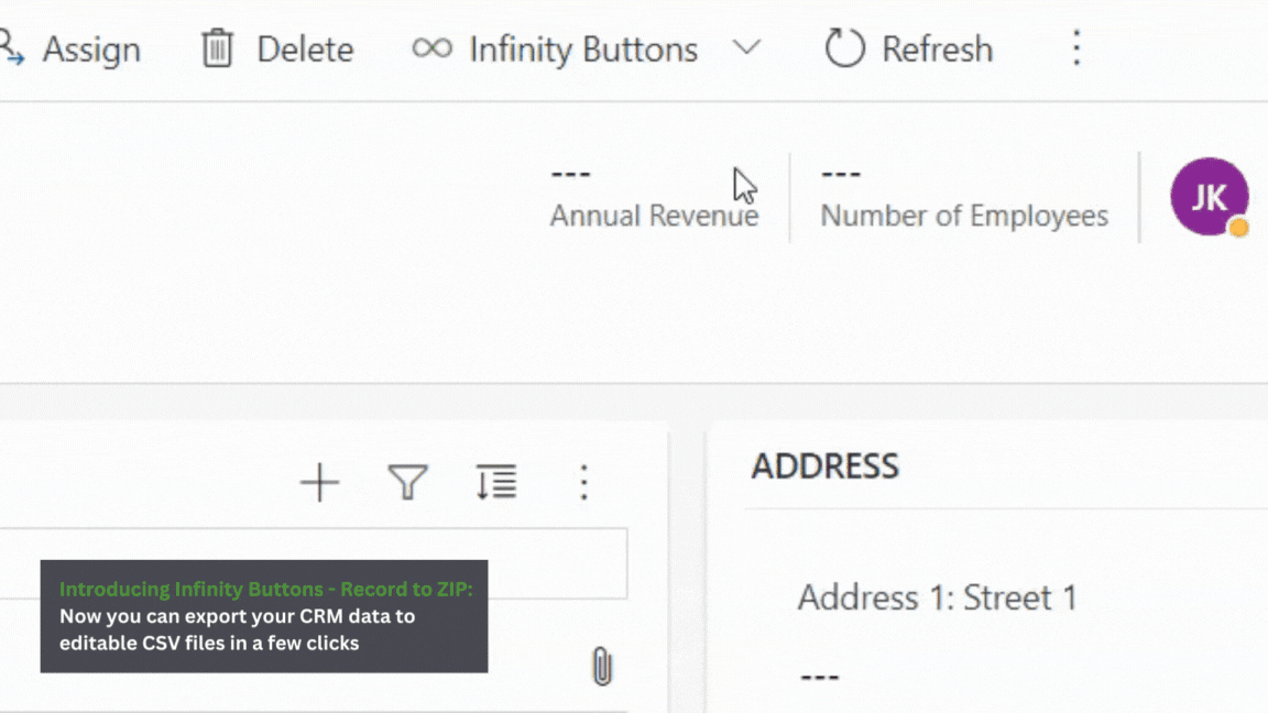 Infinity Buttons | Record to ZIP for Power Apps & Dynamics 365