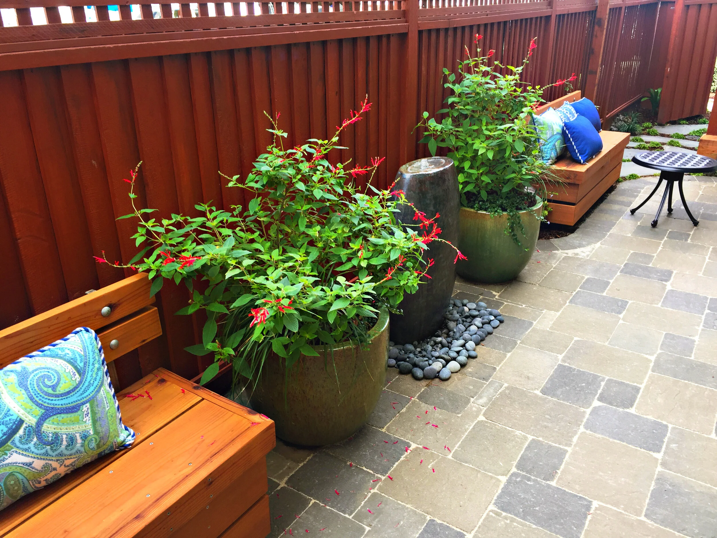 Portfolio 7 — Arborealis Landscape Design