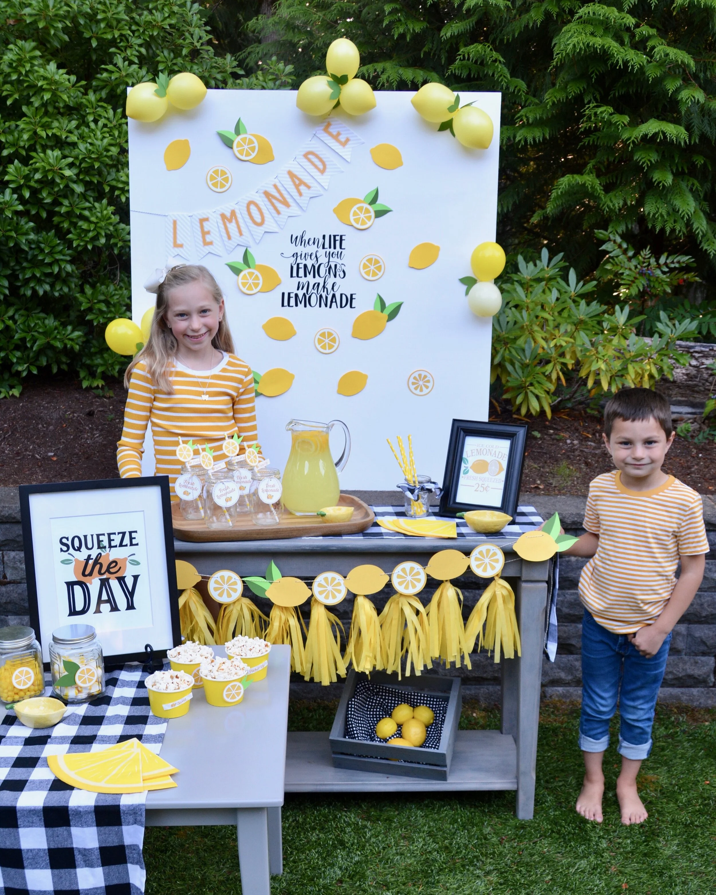 When Life Gives You Lemons - Lemonade Party — Davis & Scout Celebration Co.