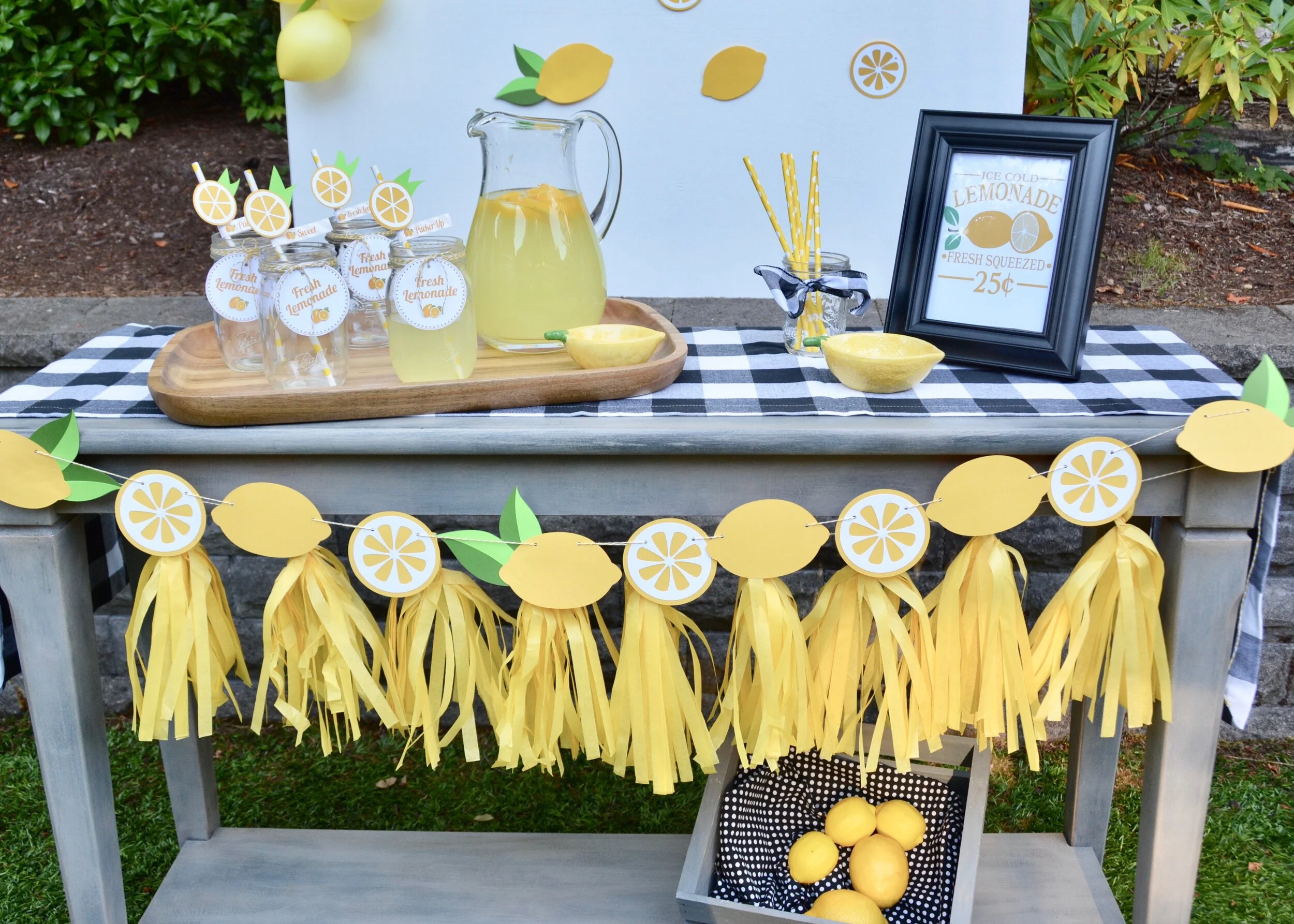 When Life Gives You Lemons - Lemonade Party — Davis & Scout Celebration Co.