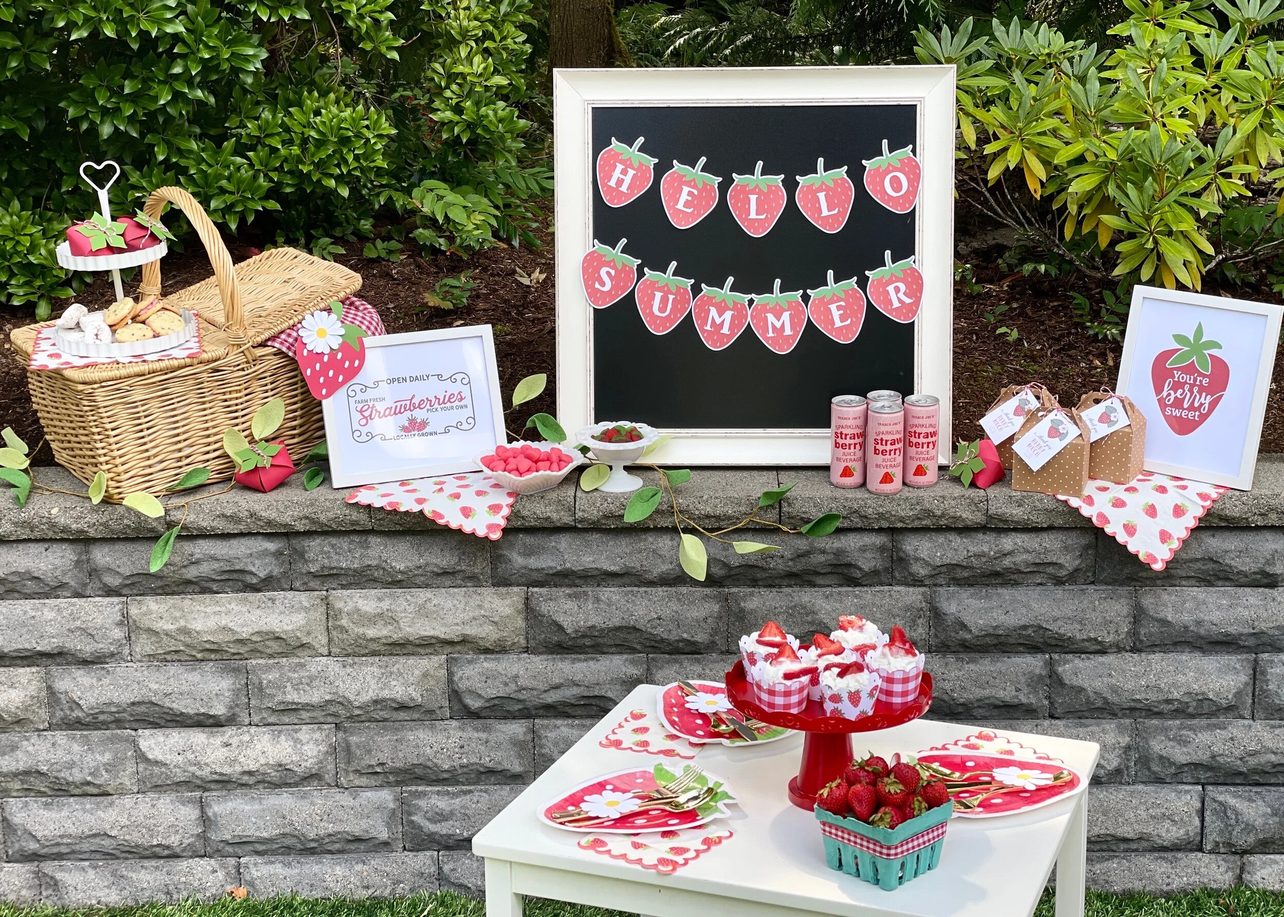 Berry Sweet Strawberry Picnic — Davis & Scout Celebration Co.