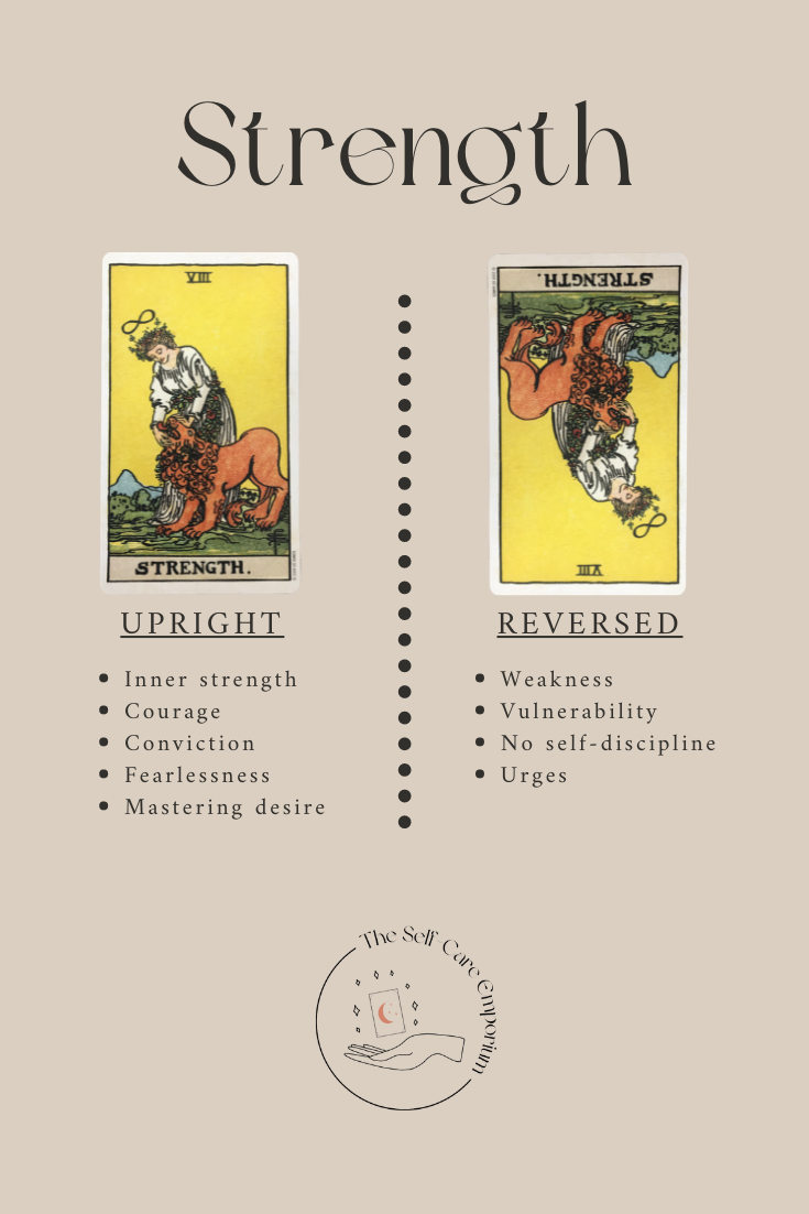 gy M sr szr l Guggenheim M zeum Strength Tarot Job Antarktisz gy M sr szr l Guggenheim M zeum Strength Tarot Job Antarktisz