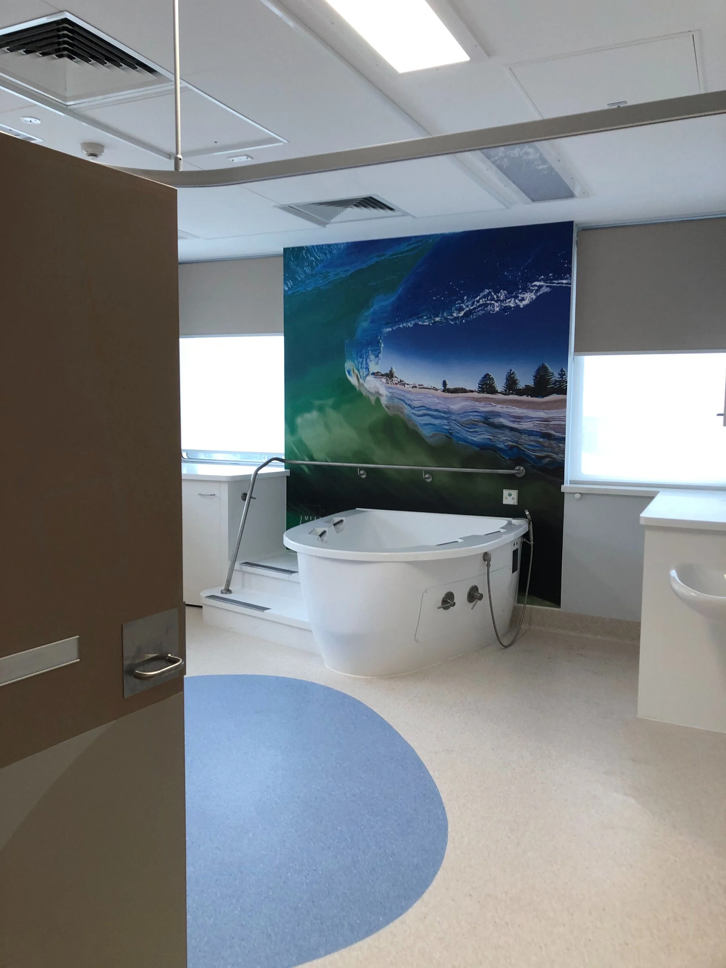 Wollongong Hospital Birth Unit — Better Births Illawarra