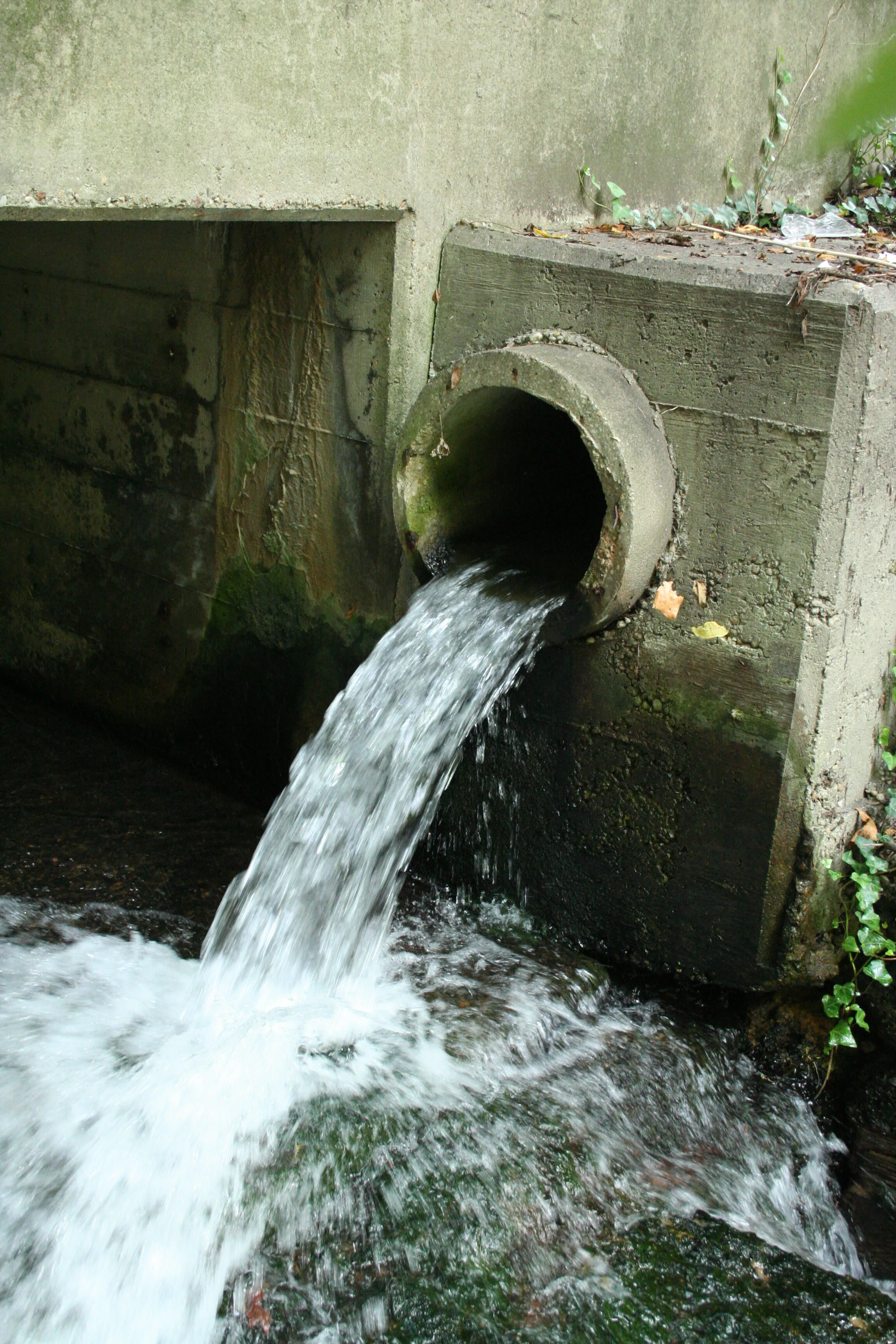 Polluted Runoff and the Stormwater Permit — Little Falls Watershed ...