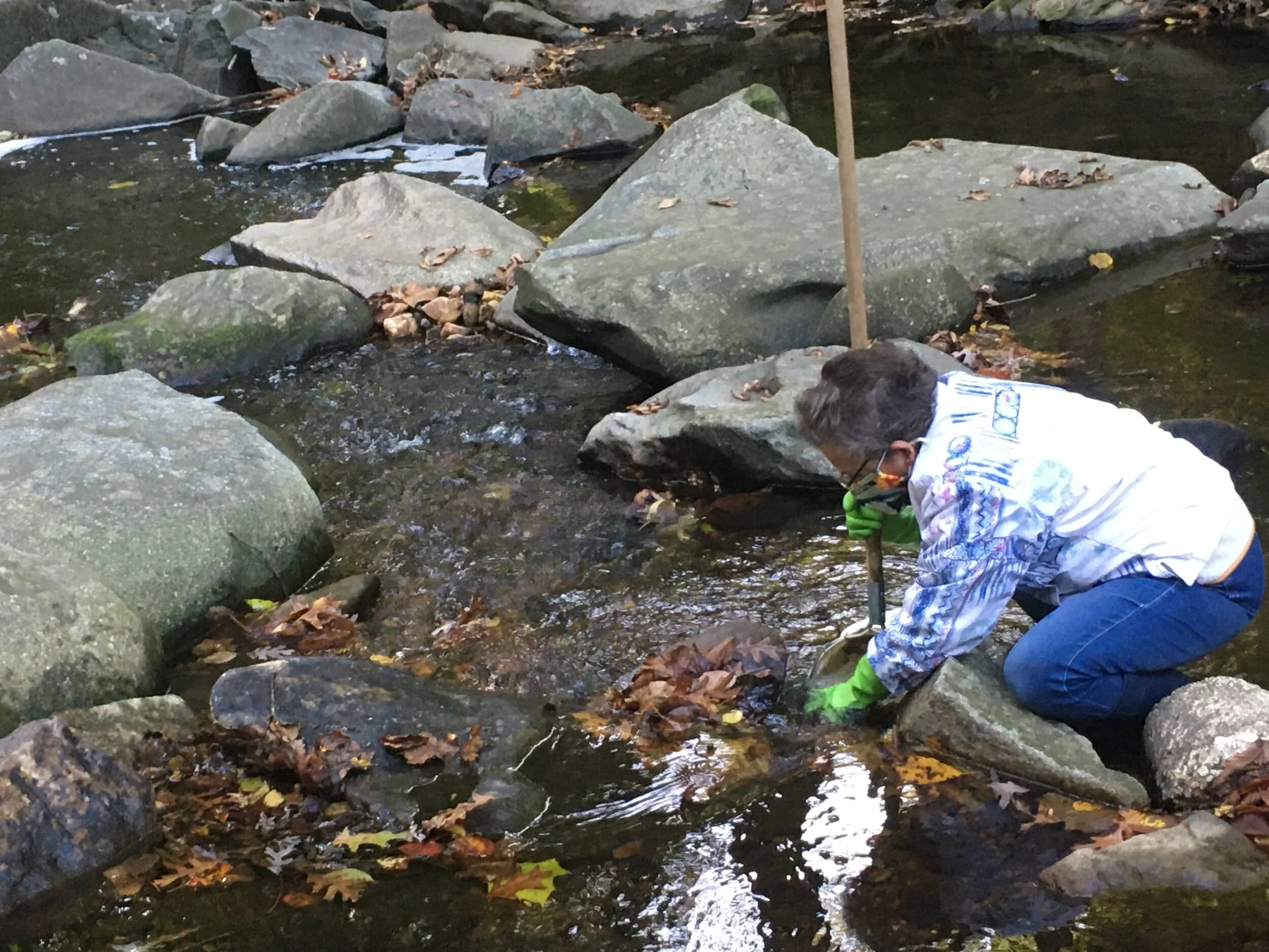 Macroinvertebrates — Little Falls Watershed Alliance | Water Action in ...