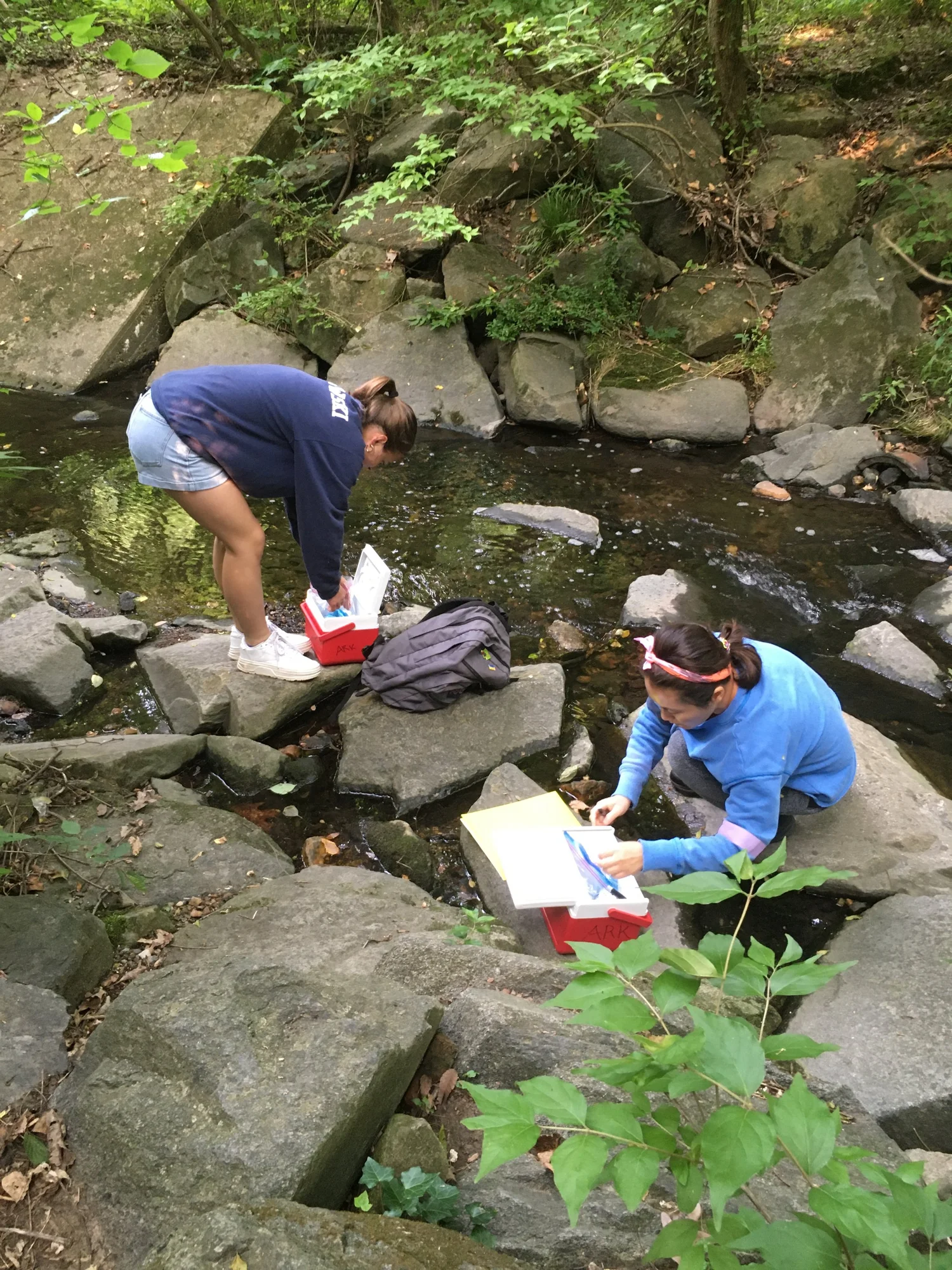 Fecal Bacteria Polluter Found; Problem Fixed! — Little Falls Watershed ...