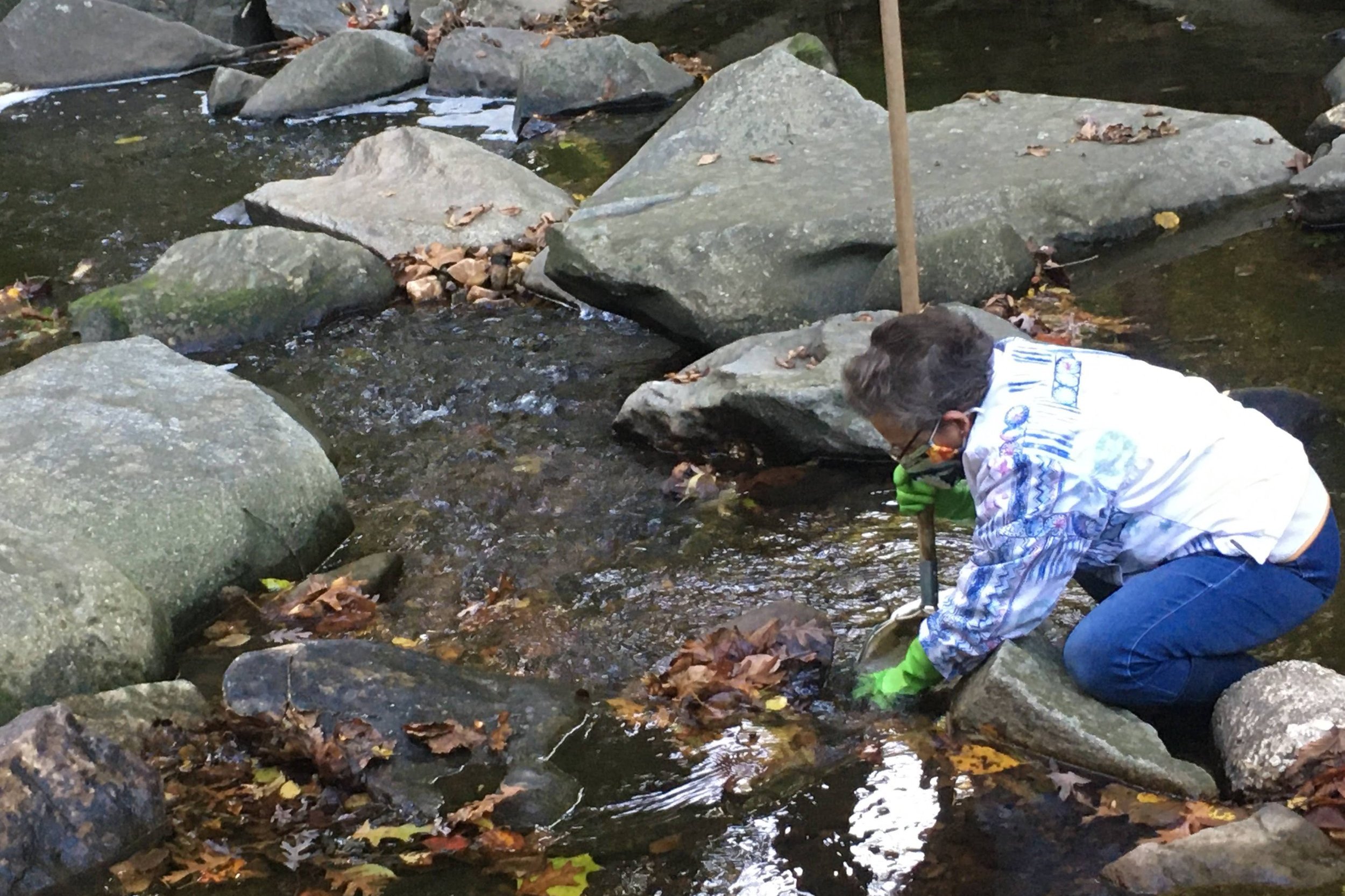 Events — Little Falls Watershed Alliance | Water Action in Maryland and DC