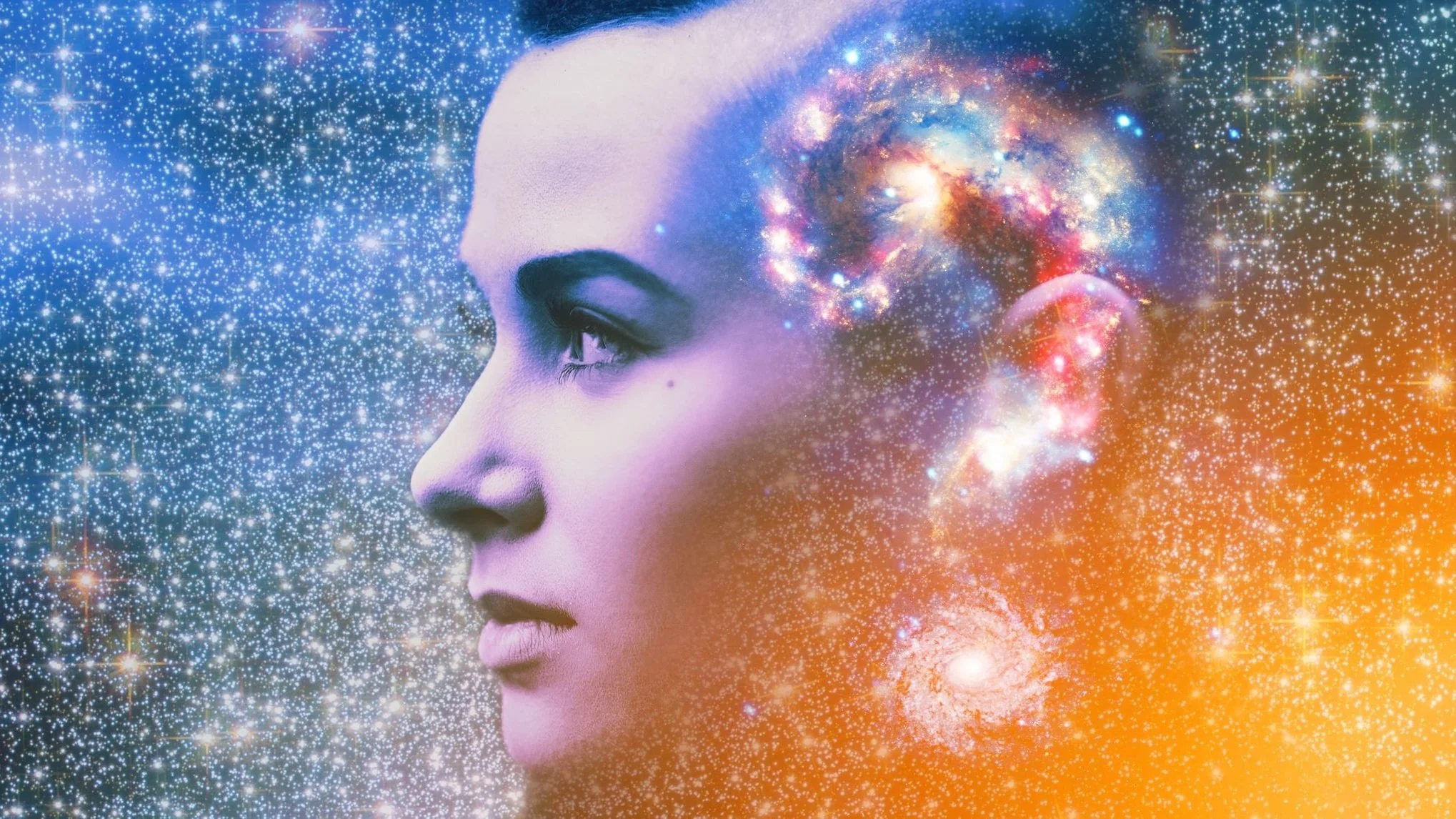 How Does Stress Affect the Body and Mind? — Levelhead-Ed