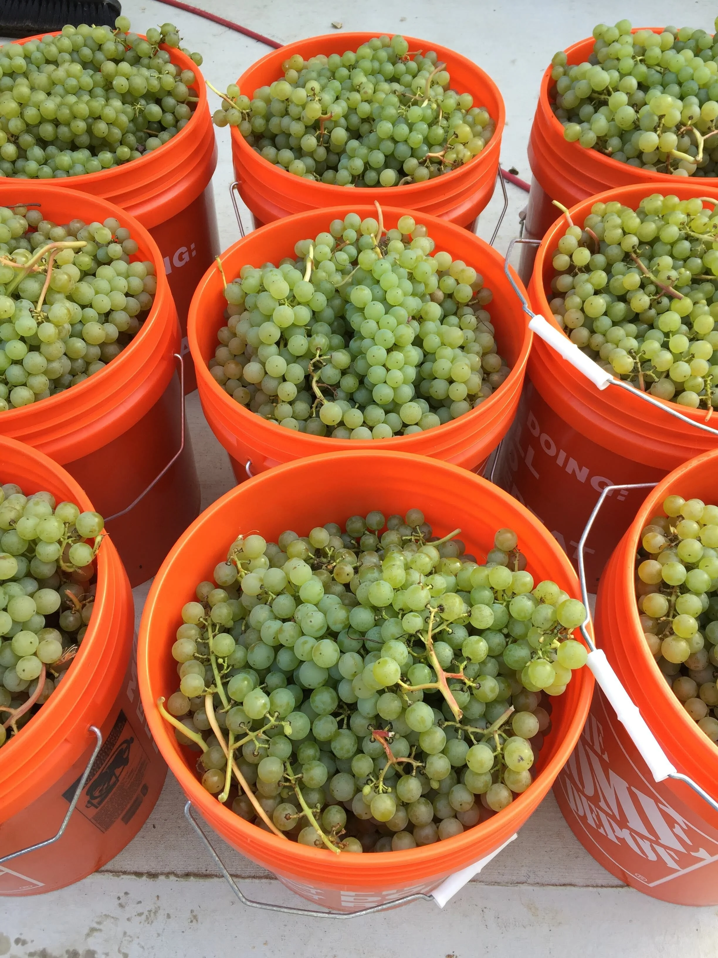 K Vineyards — Michigan Wine Company