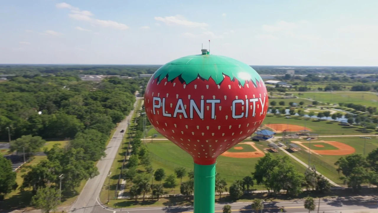 Soaking Up the Sweetness: All About the Florida Strawberry Festival ...