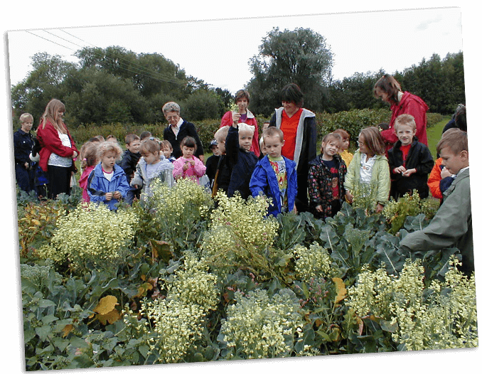 Our Story — Alder Carr Farm