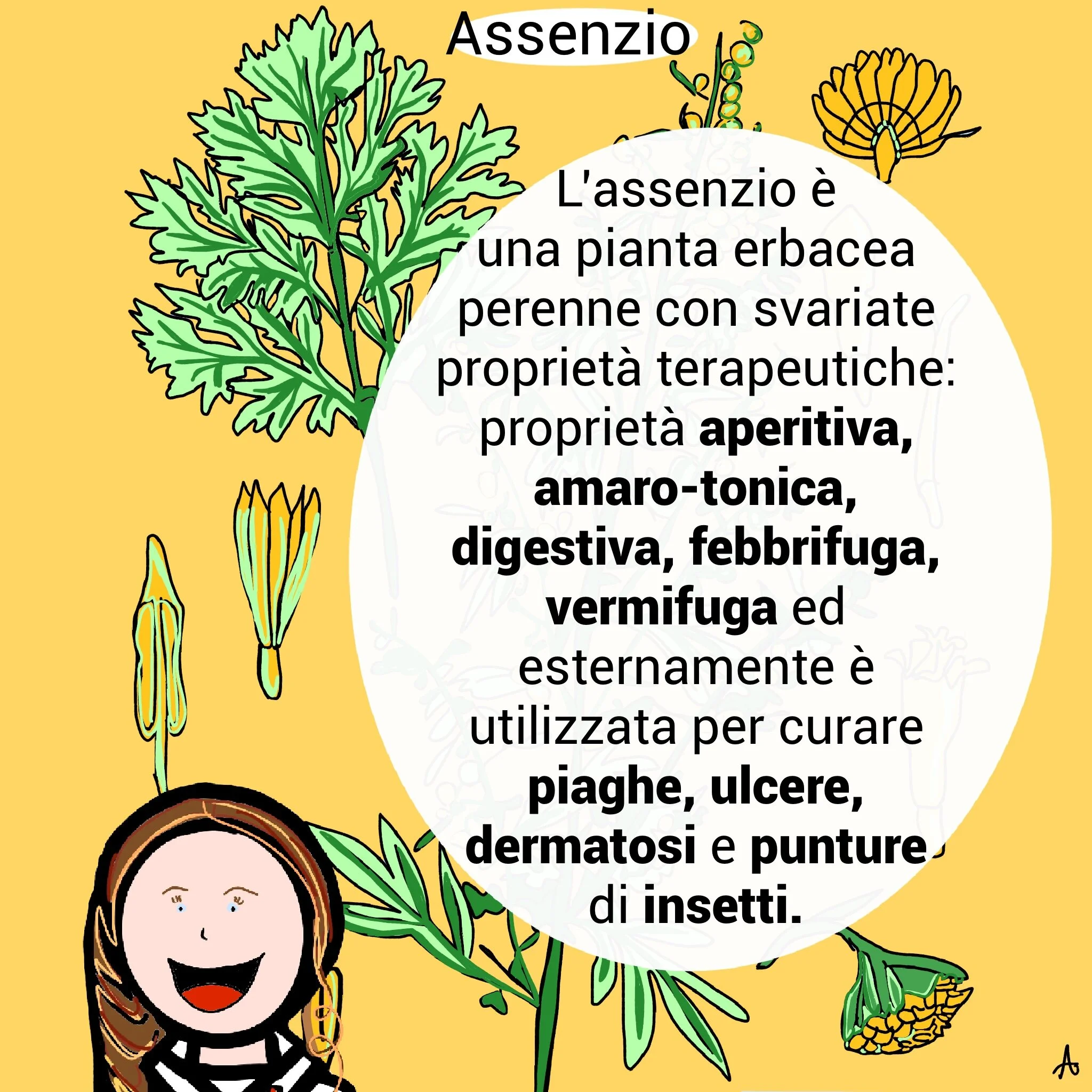 Assenzio, Artemisia absinthium, la fata verde — Alice Pharmacist