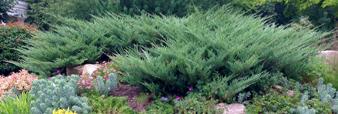 Environmental Health — Town of Pottawattomie Park, Indiana