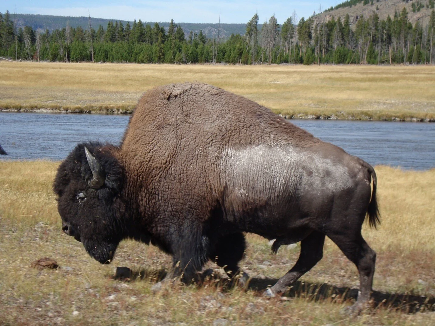 Historian in Residence: The History and Prehistory of the North ...