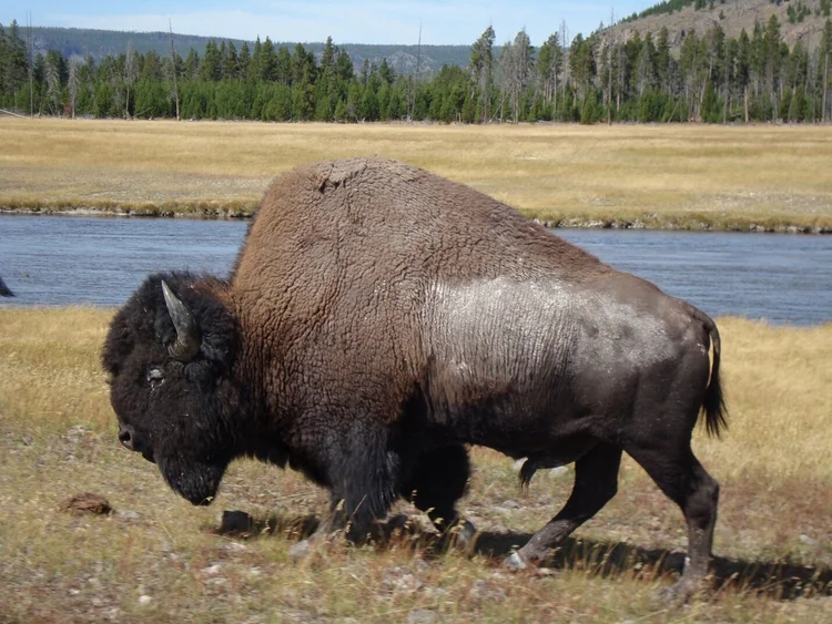 Historian in Residence: The History and Prehistory of the North ...