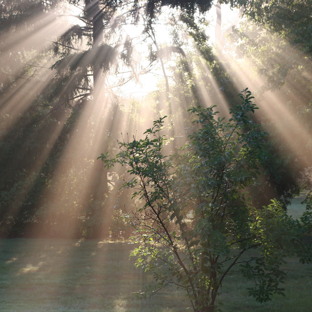 The weight of waiting: An Advent reflection by Rev. Laura Murray ...