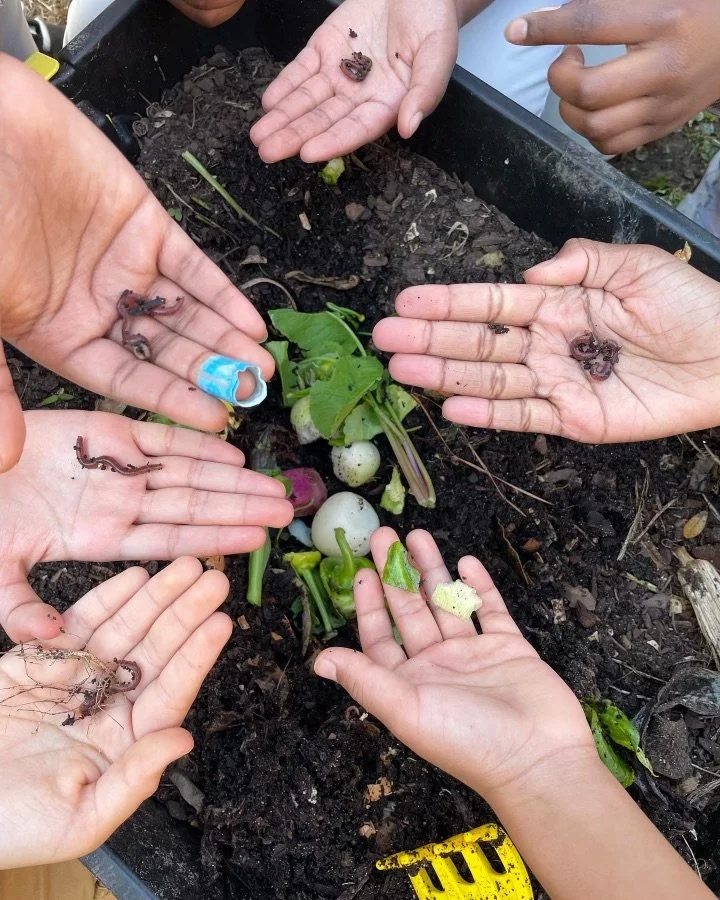 Farm to School Innovation Mini-Grant Spotlight: Cultivating a Hands-on ...