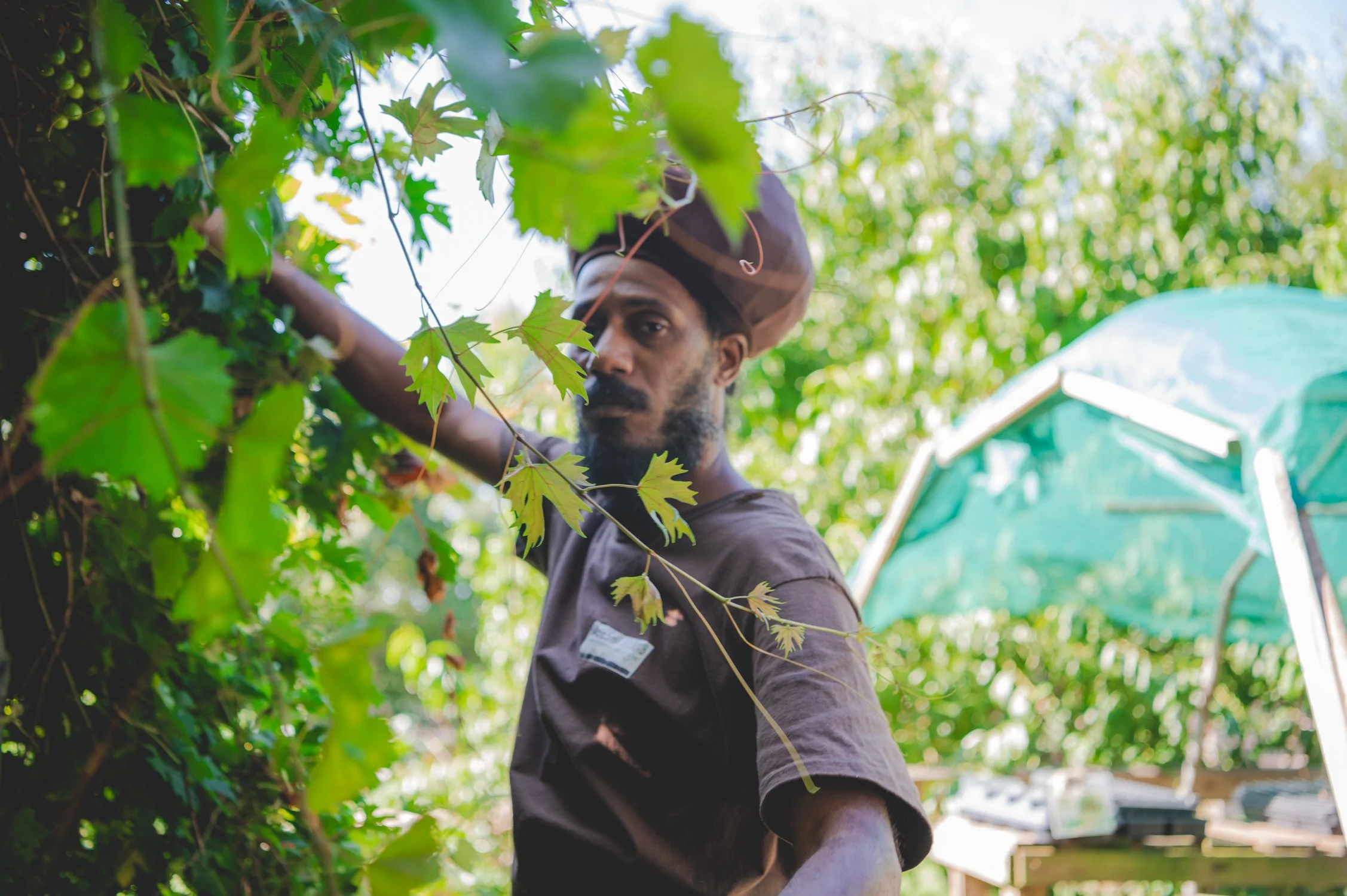 2024 Barbara Petit Pollinator Award Winner Cashawn Myers — The Dirt