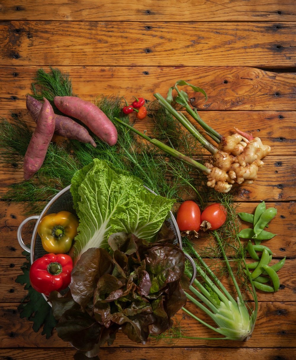 IT’S PEPPER PURCHASING SEASON: 12 Georgia Farms to Support by Locally ...