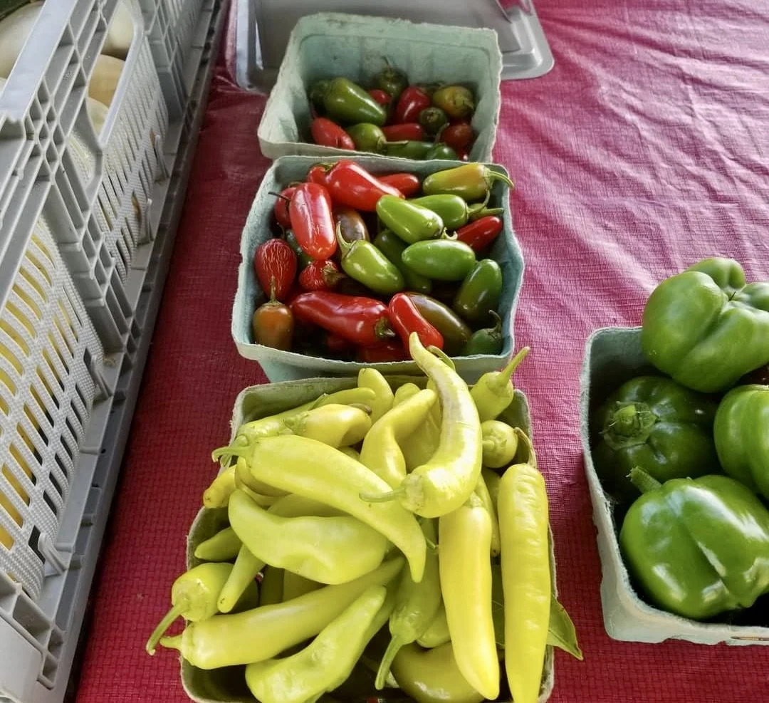 IT’S PEPPER PURCHASING SEASON: 12 Georgia Farms to Support by Locally ...