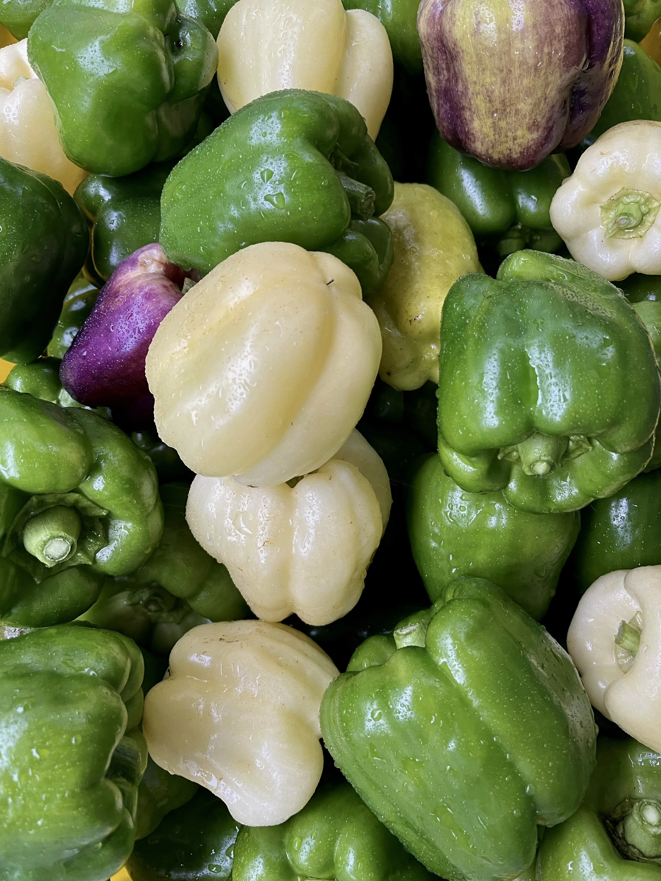 IT’S PEPPER PURCHASING SEASON: 12 Georgia Farms to Support by Locally ...