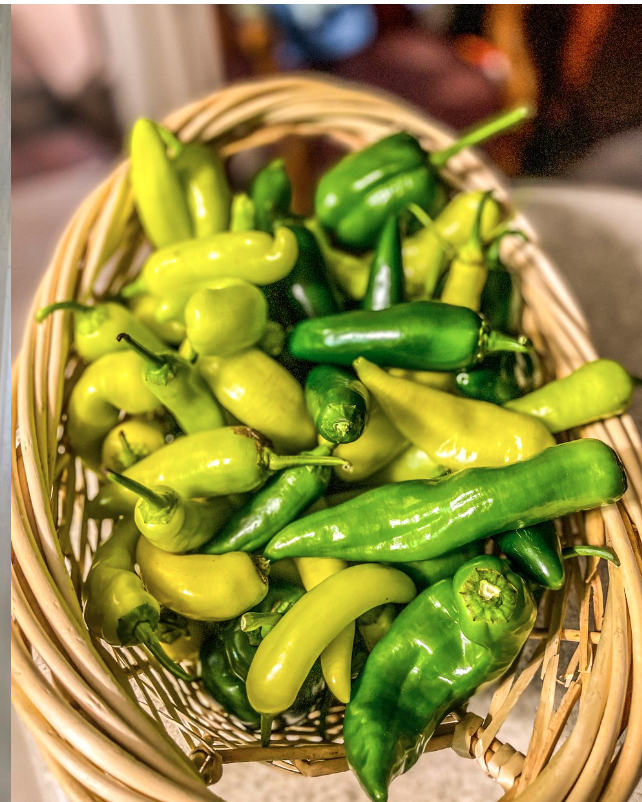 IT’S PEPPER PURCHASING SEASON: 12 Georgia Farms to Support by Locally ...