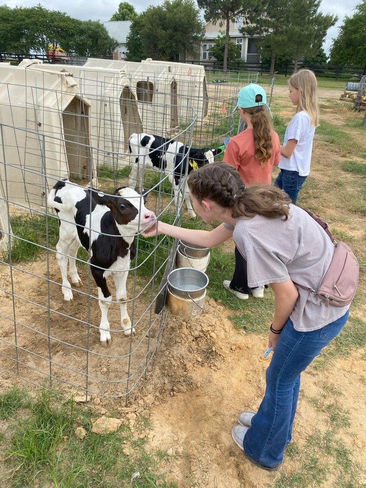 Farm to School Innovation Spotlight: Welcome to the Food Miles Project ...