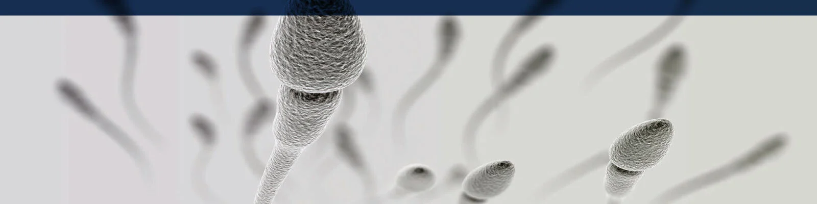 Male Infertility Facts... — LogixX Fertility