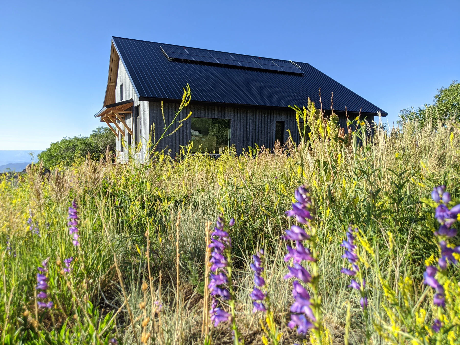 Healthy & Affordable Living — Phoenix Haus