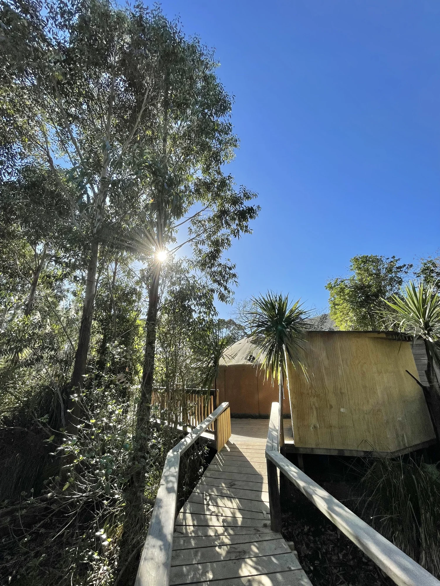Yurt Hire Fossil Bay — Fossil Bay