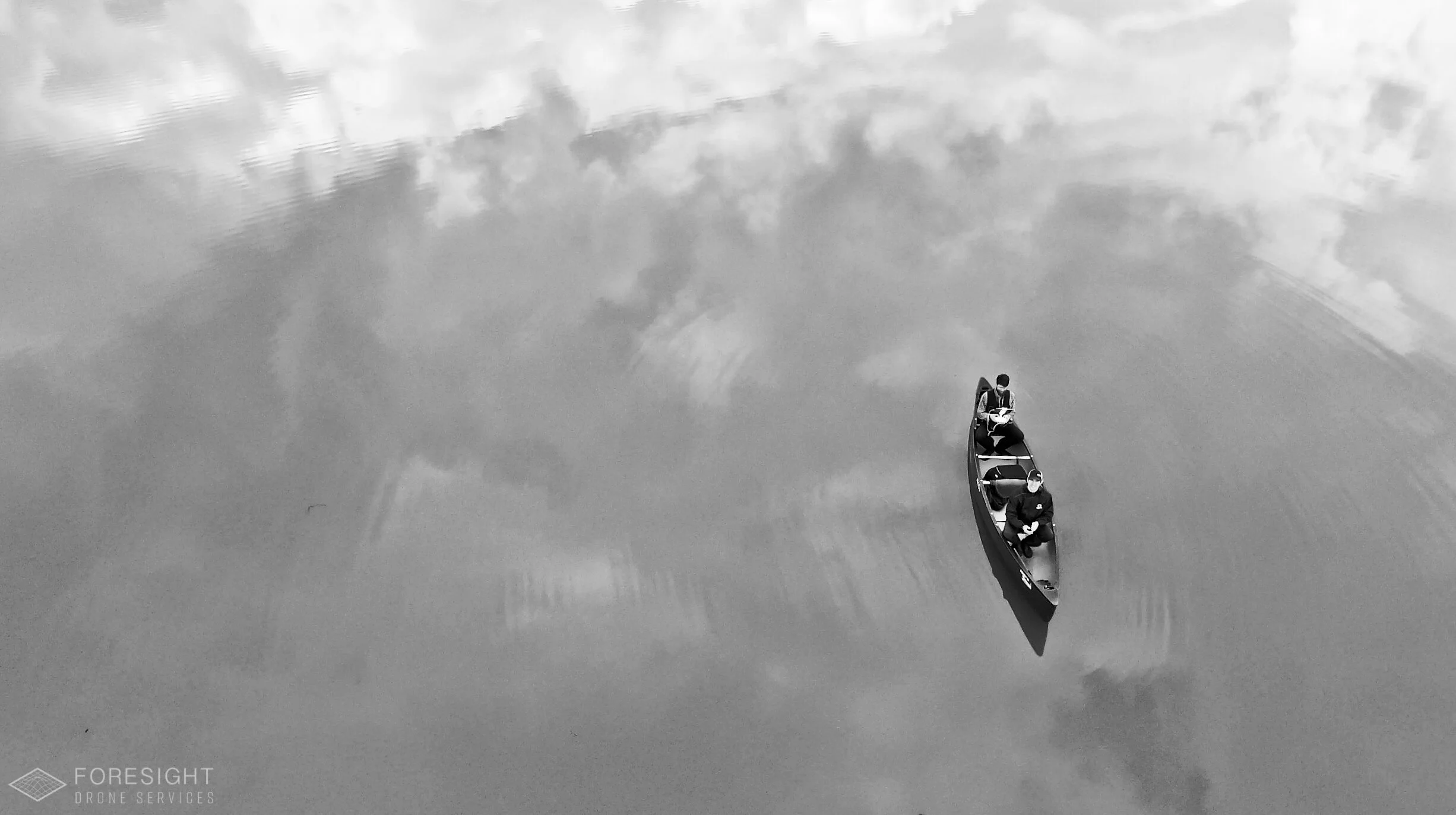 ForeSight Drone Services