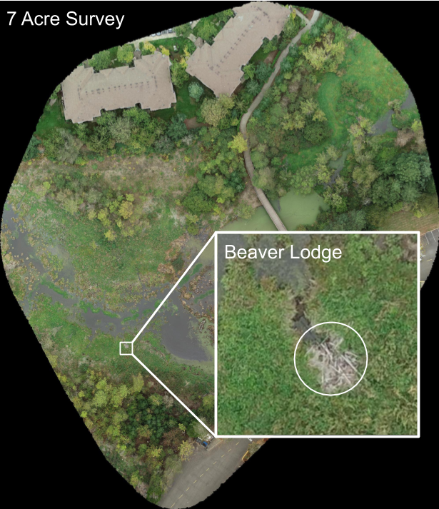 ForeSight Drone Services