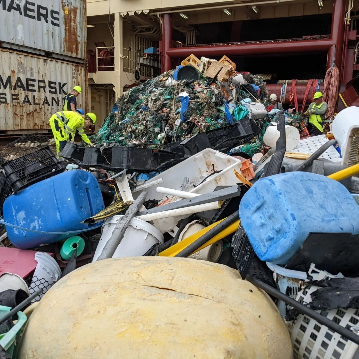 ForeSight Drone Services