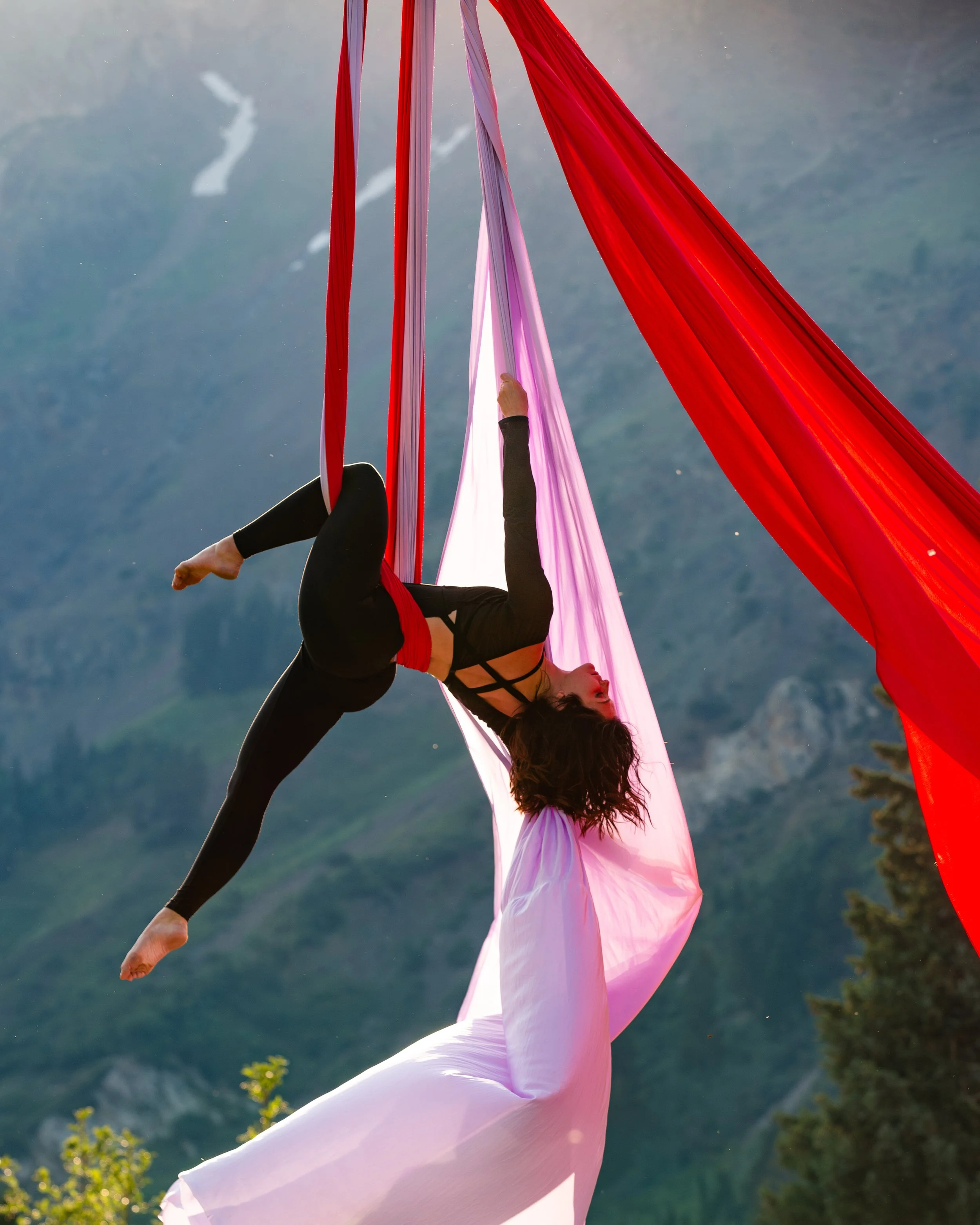 Aerial Fabric & Apparatuses — Vertical Art Dance