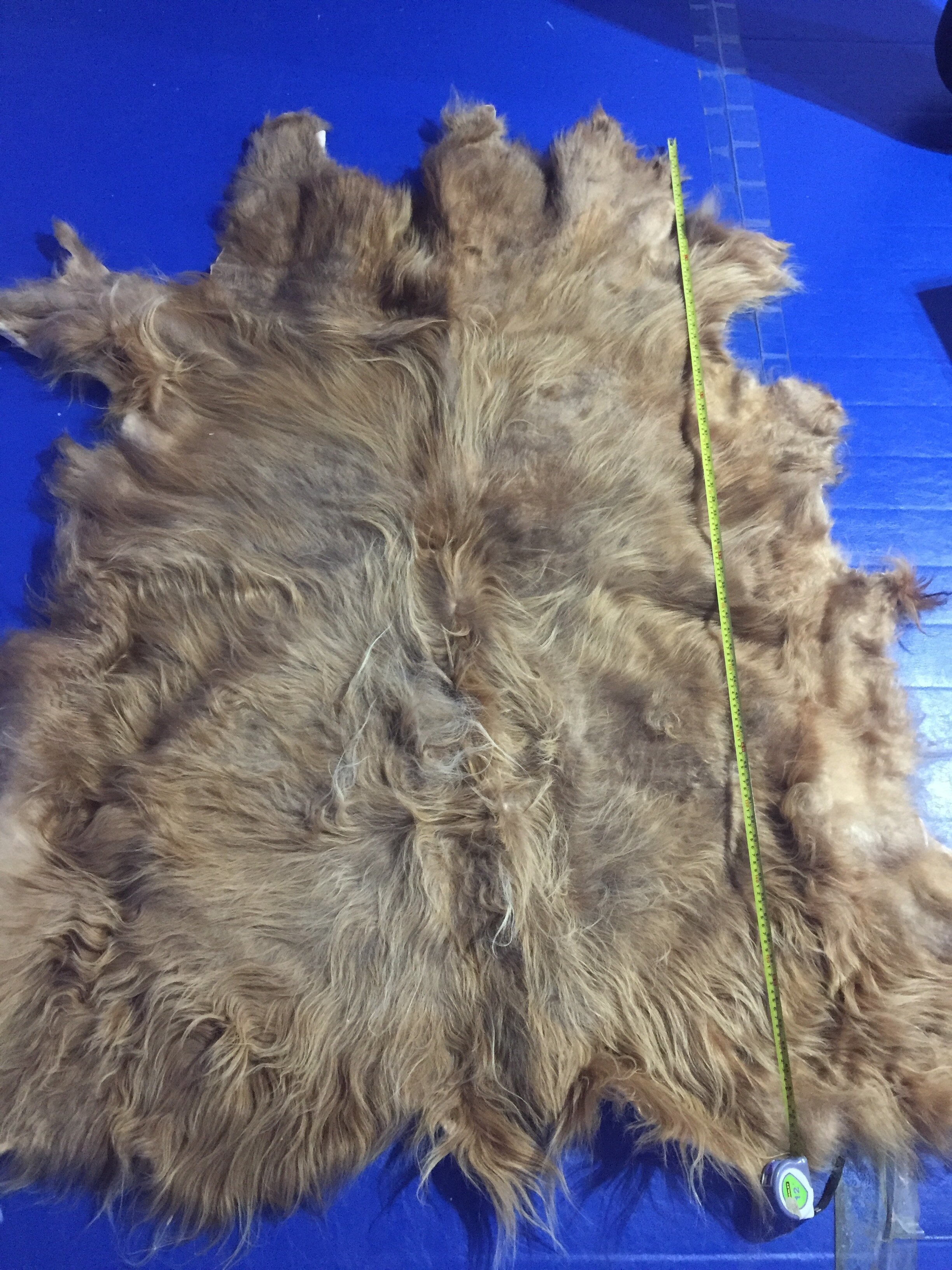 PREORDER: Scottish Highland Hides — Full Armor Farm