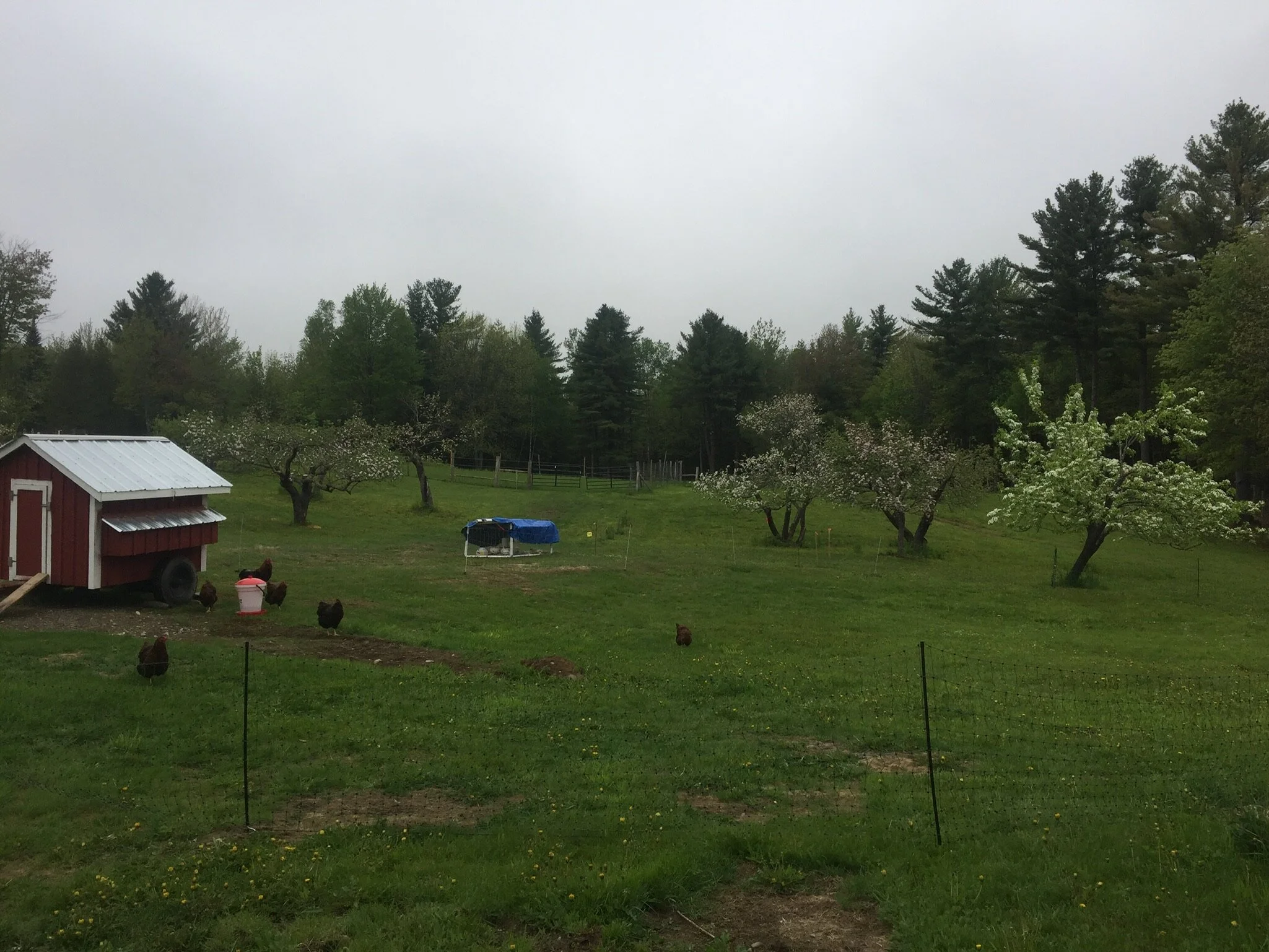 Full Armor Farm infrastructure building projects — Full Armor Farm