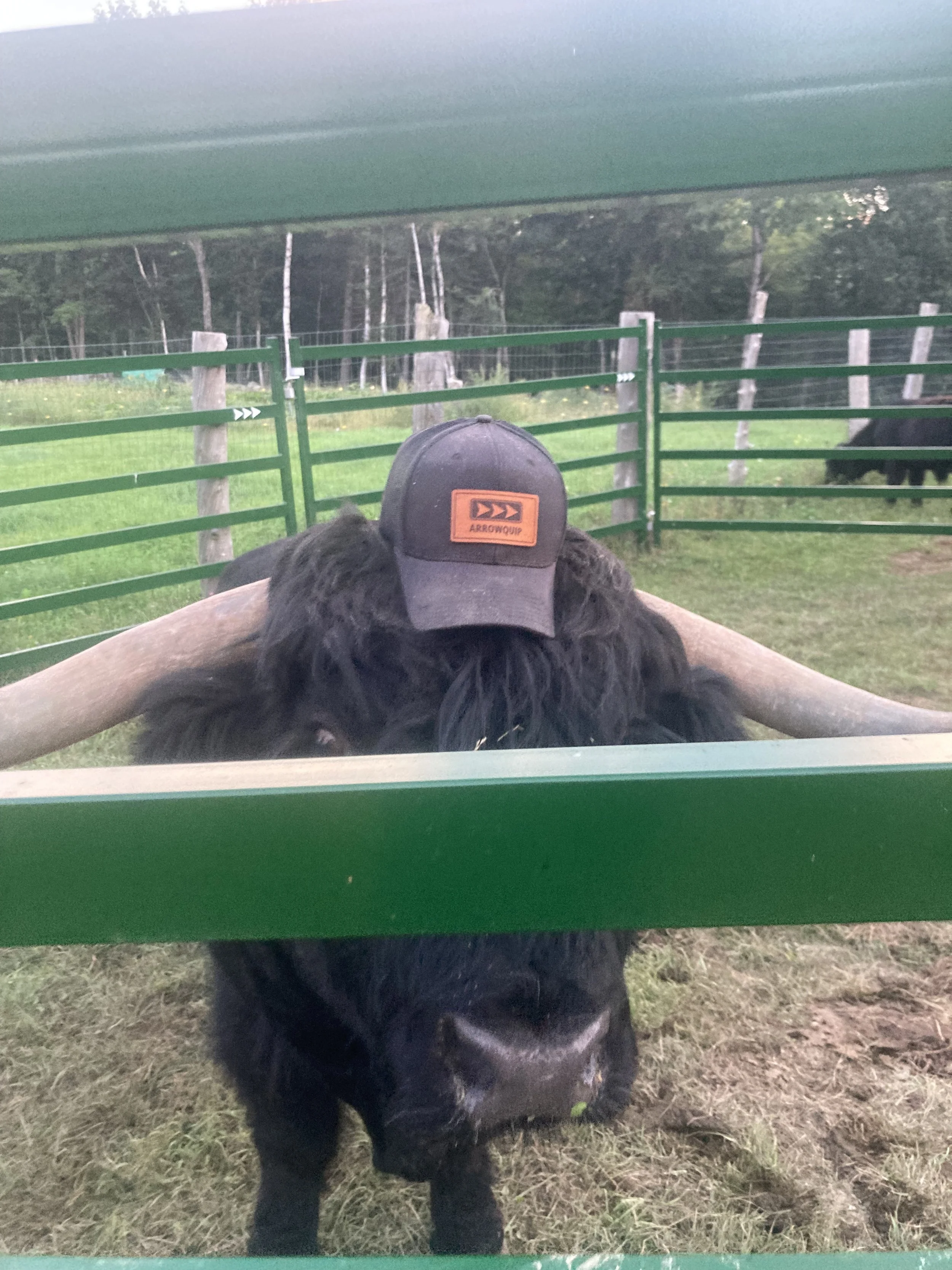 Arrowquip Cattle Handling System — Full Armor Farm