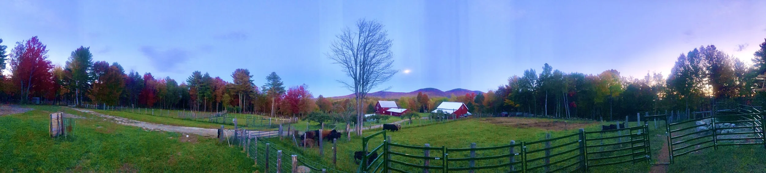 Full Armor Farm