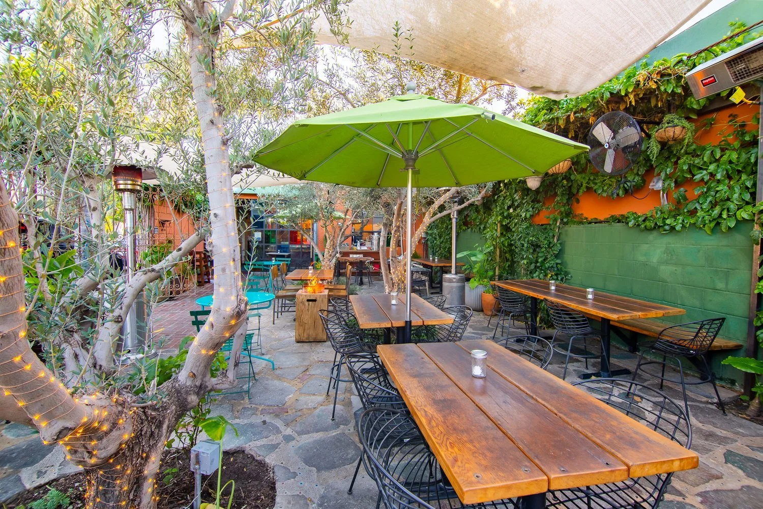 West Adams | Experience Mediterranean Flavors Today — MIZLALA