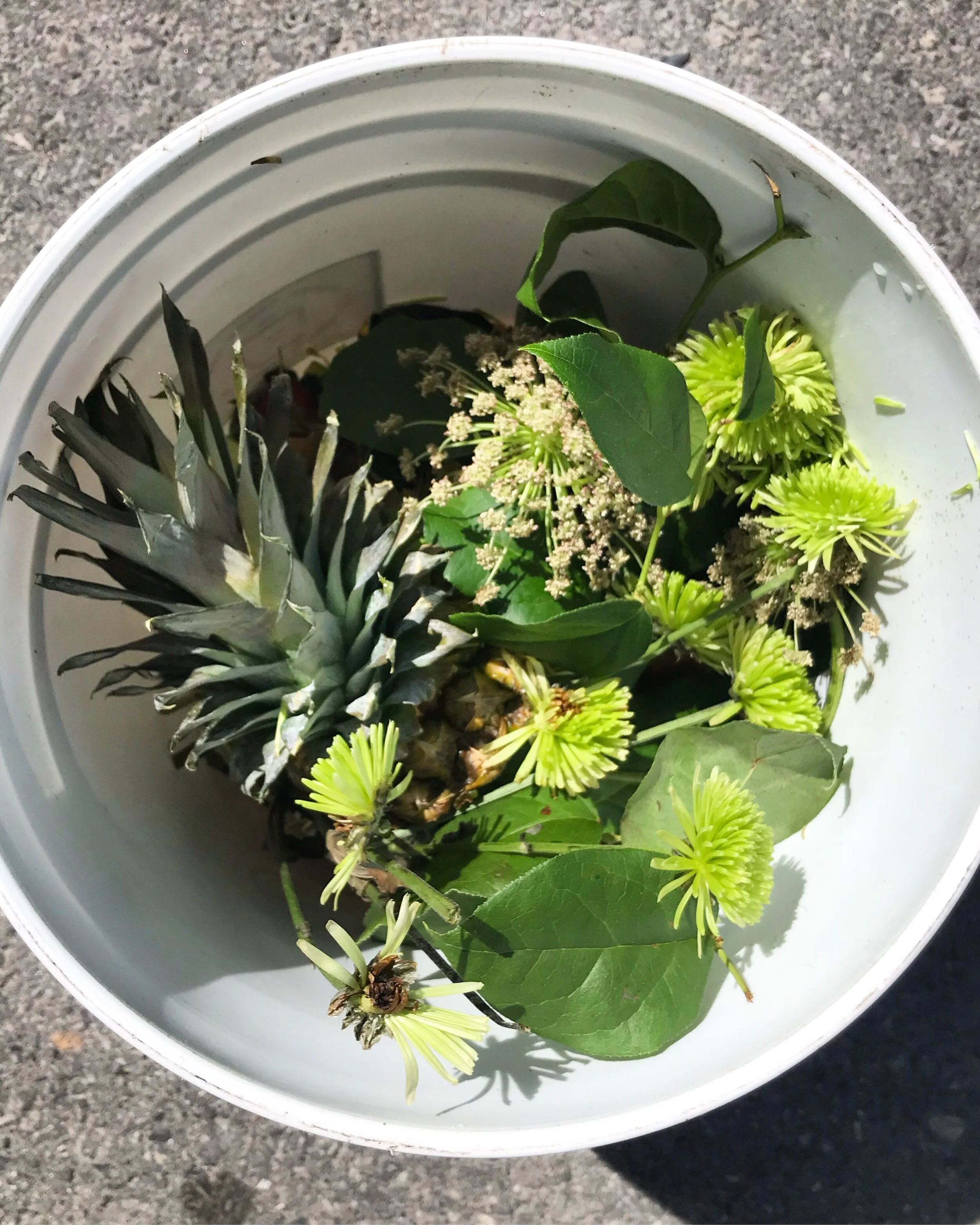 FAQ — Happy Compost