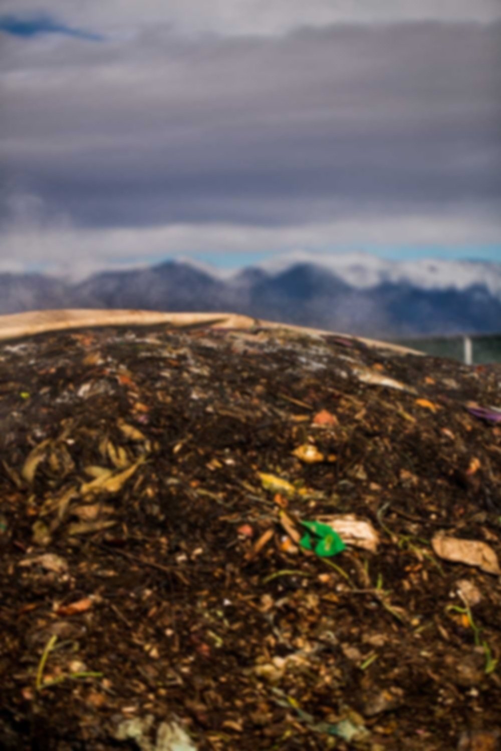 Happy Trash Can Compost | Commercial and Residential Compost Collection ...