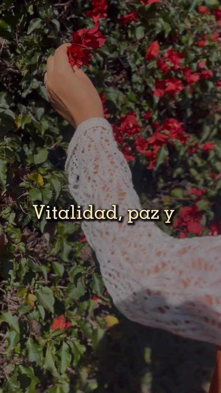 Terracotta, loncheras creativas - Colombia 🇨🇴 — Vayeca