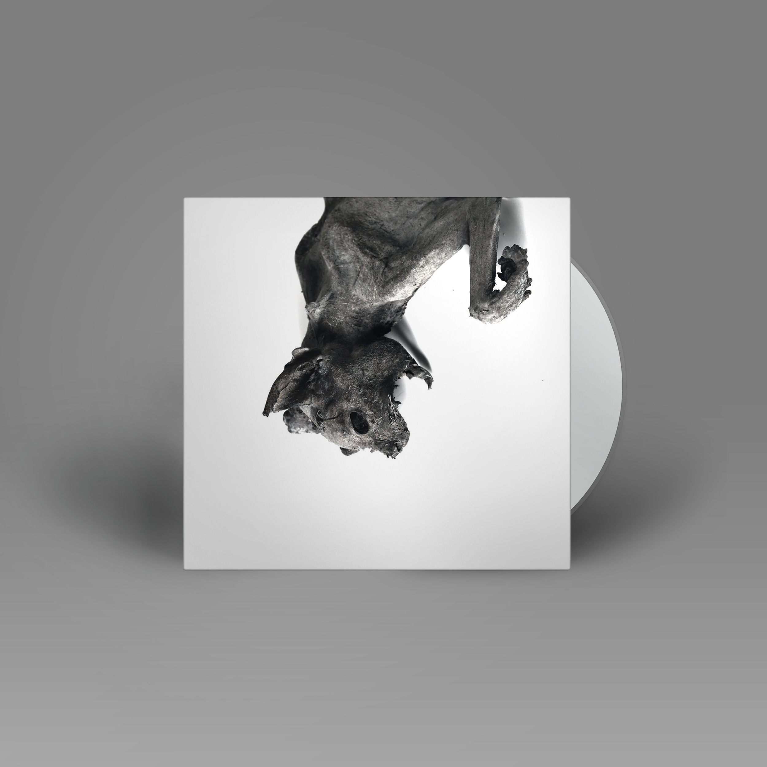 Shop Merch / Digital — Nordvargr